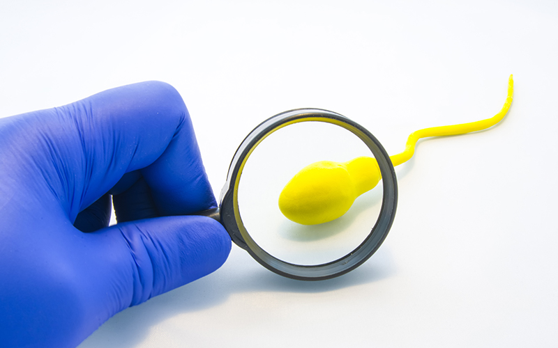 What Is Imsi In Microinjection ? - Cyprus American IVF Center