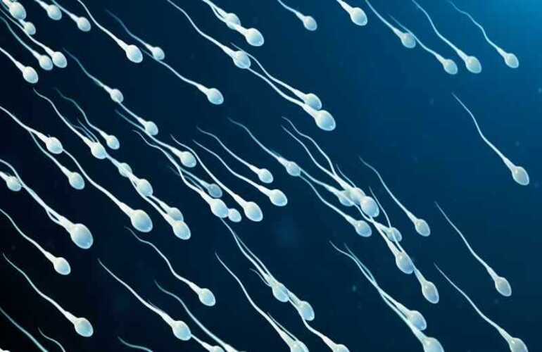 What Is The Sperm Separation Process For Gender Selection Cyprus
