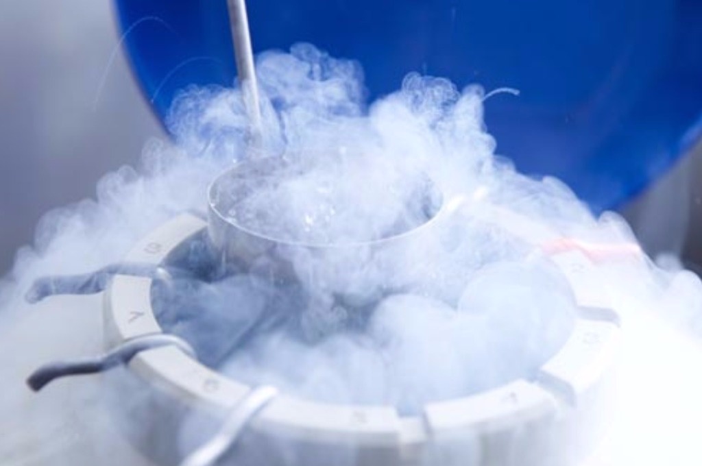 What is the vitrification method for IVF ? - Cyprus American IVF Center